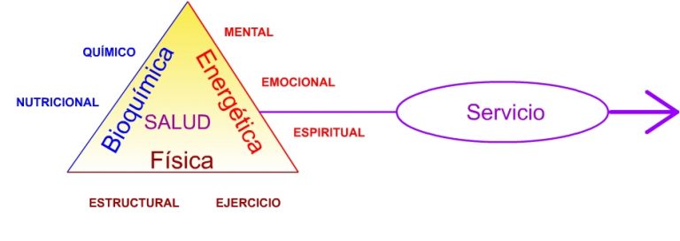 El triángulo de la salud y el servicio - Mirada Sistémica