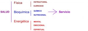 El triángulo de la salud y el servicio - Mirada Sistémica